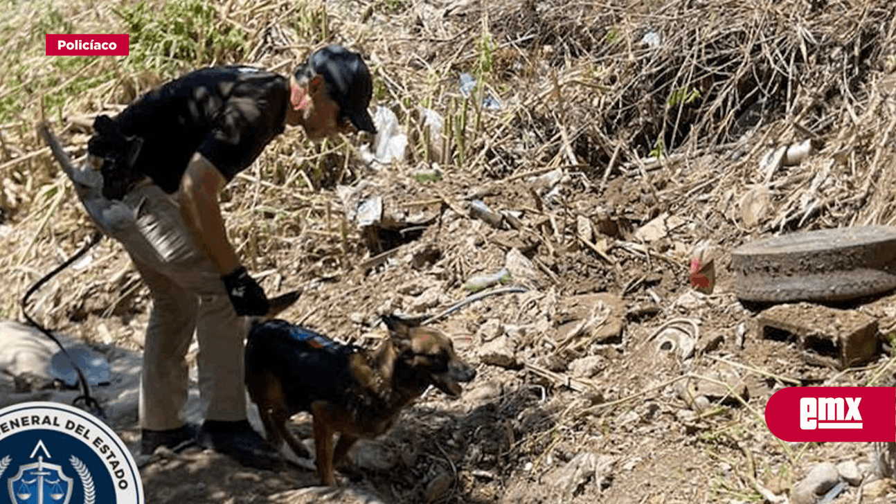 FGE realiza brigada de búsqueda para localizar a Elizabe... - El Mexicano