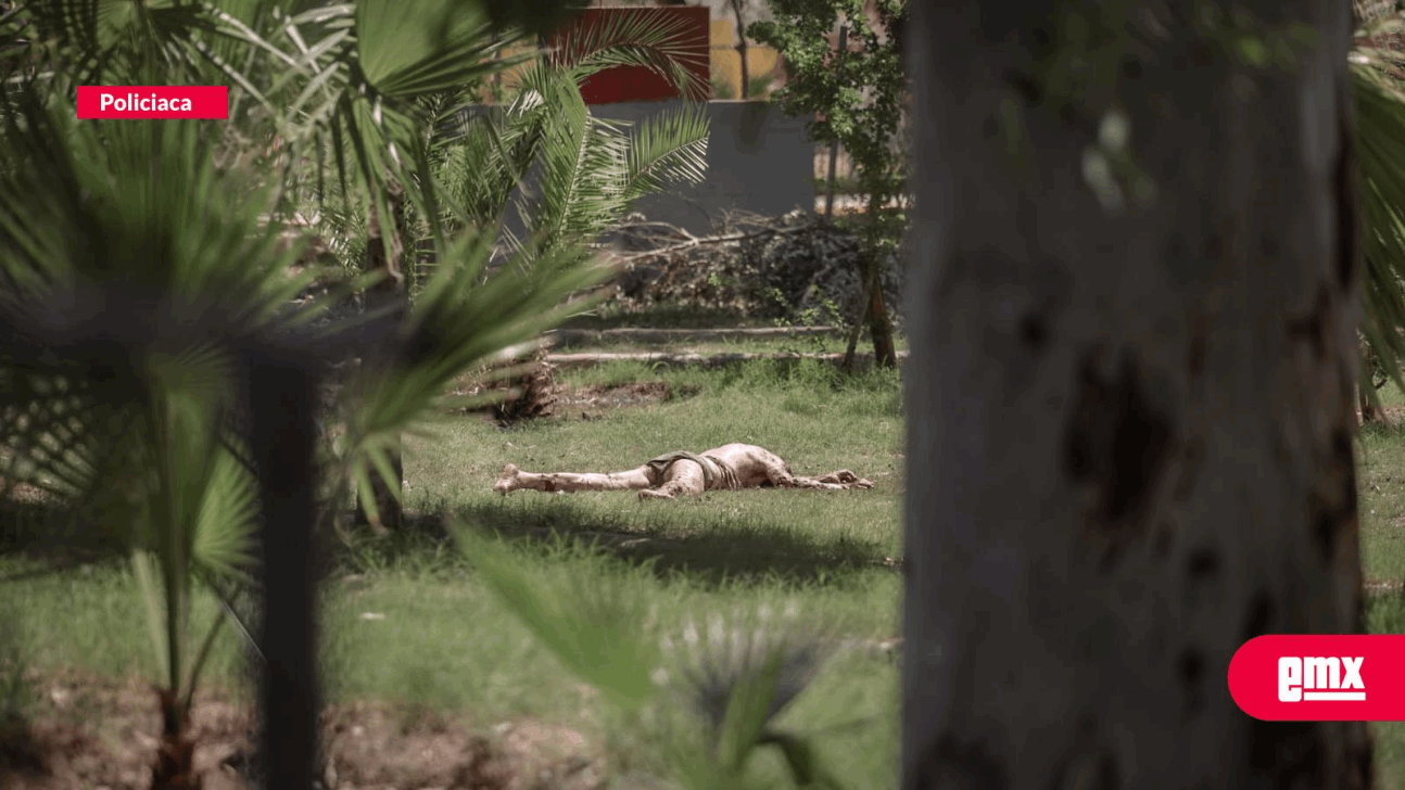 Cuerpo de mujer sin vida es atacada por perros - El Mexicano